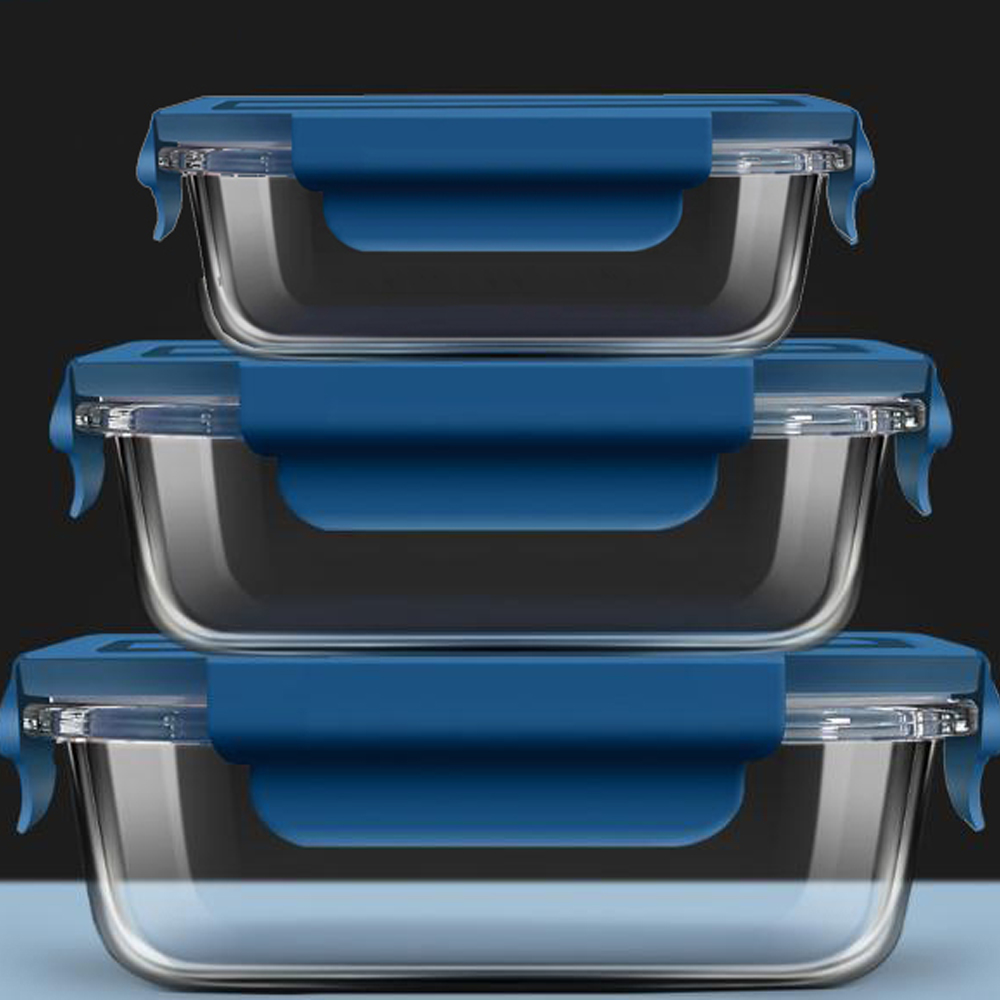 Rectangle Glass Food Storage Containers with Blue Plastic Lids ...
